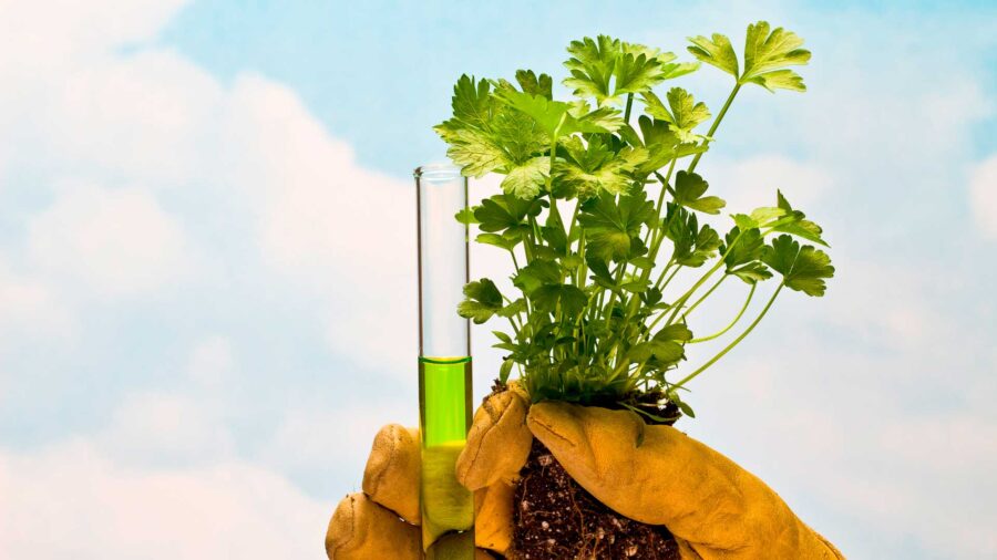 Empresas Copec S.A. | Nutrisco lanza Convocatoria Innovación ...